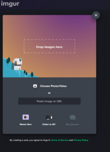 Image hosting – The top 5 services available | Canto