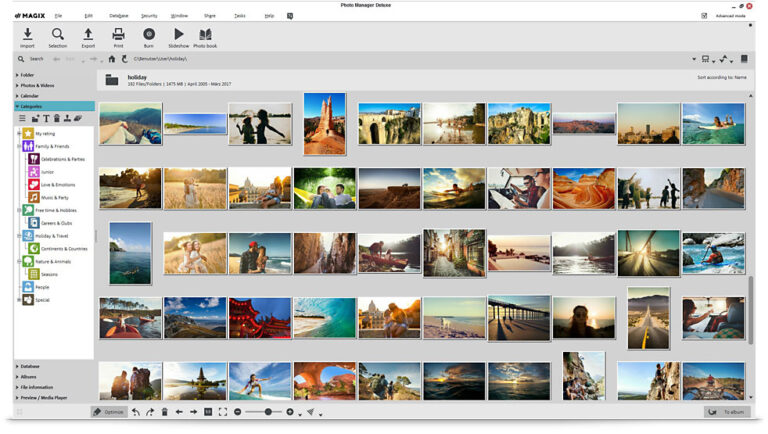 The 7 best photo organizing software programs | Canto