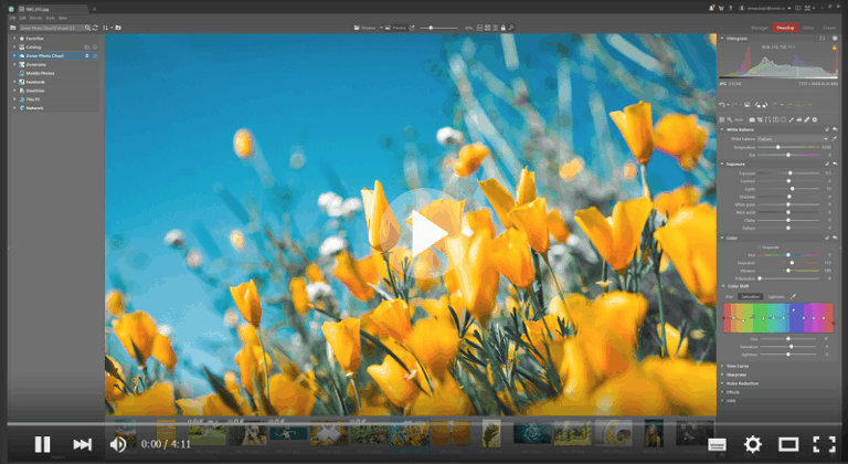 The 7 best photo organizing software programs | Canto