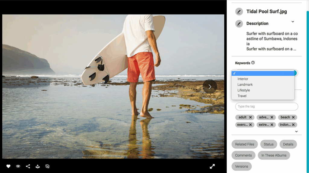 Smart tags – A comprehensive guide to modern tags | Canto