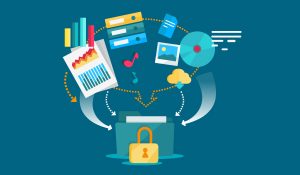 The 6 metadata types you need to know | Canto