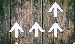 The Aaker Model: A simple way to build brand identity | Canto