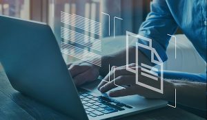 File metadata: What is it and how to access and edit it | Canto