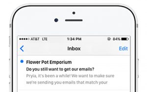 Re-engagement emails made easy (with examples) | Canto