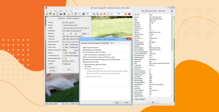 10 best free and paid photo metadata viewer tools in 2024 | Canto