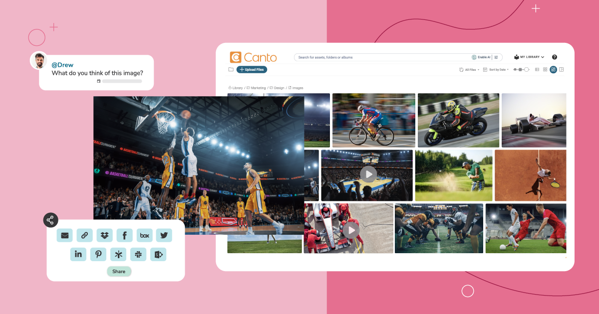 Guide: Digital Asset Management for Sports | Canto